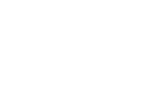 Professional Liability - RSUI